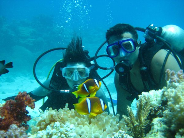 Buceo en Hurgada, mar Rojo y safari en el desierto