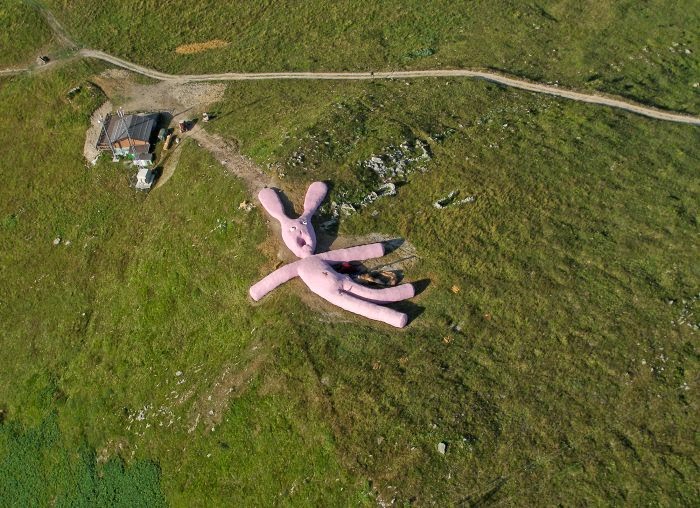 Un conejo rosa gigante en Italia